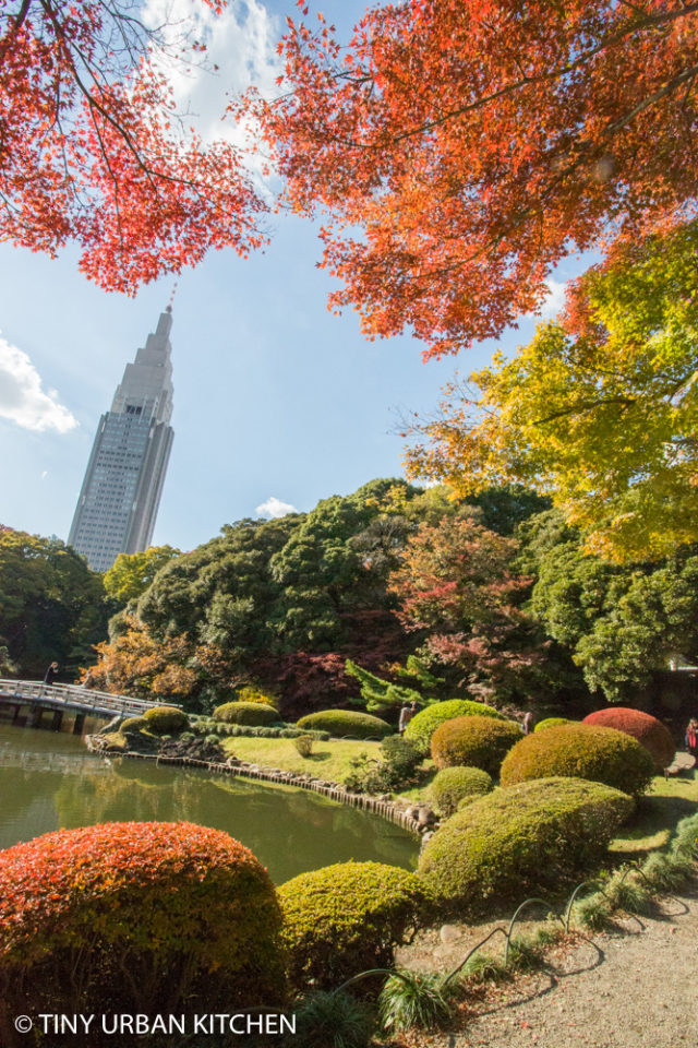 New Japan Series Part 1: Totoro, Fall Foliage, Tofu Kaiseki - Tiny ...