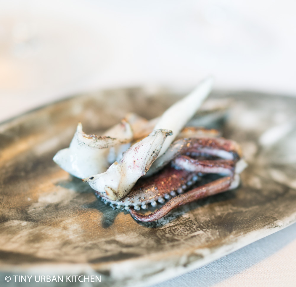 Mugaritz San Sebastian - 2 Michelin Stars - Tiny Urban Kitchen