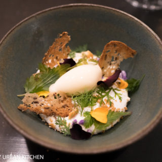 Cilantro Foam - Tiny Urban Kitchen
