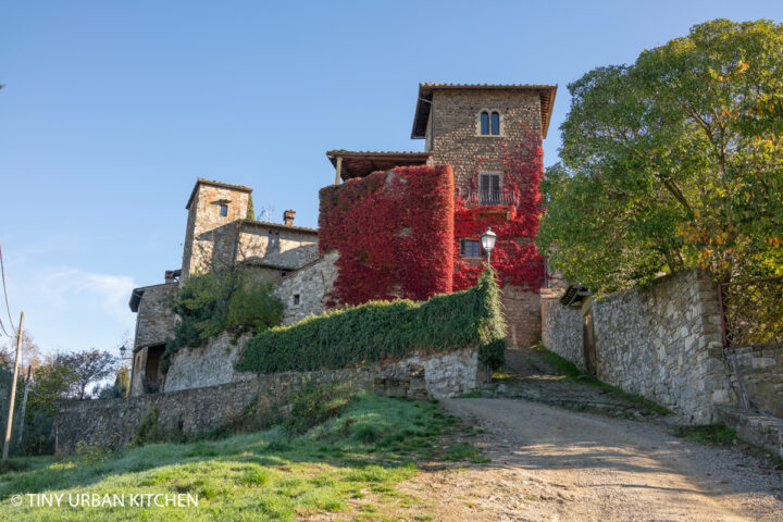 Day Trip to Chianti Classico Region - Tiny Urban Kitchen