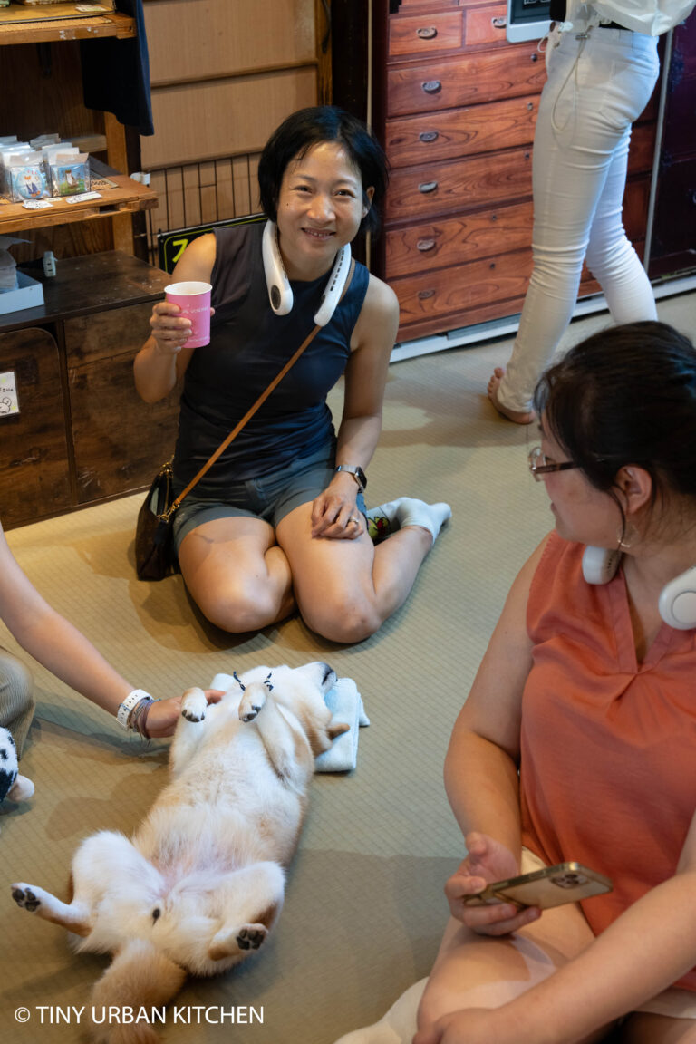 Harakuju Mame Shiba Inu Cafe Tokyo - Tiny Urban Kitchen