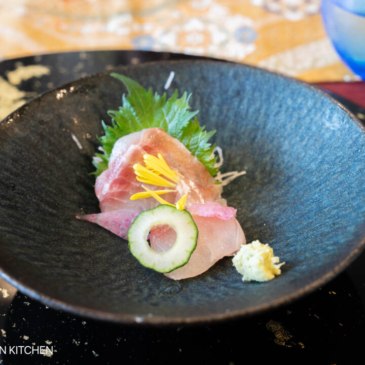 Harakuju Mame Shiba Inu Cafe Tokyo - Tiny Urban Kitchen
