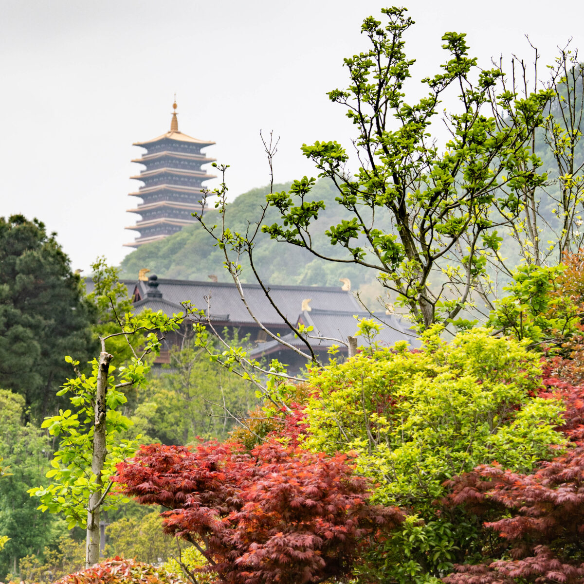 Bibi London - Michelin Indian Food - Tiny Urban Kitchen