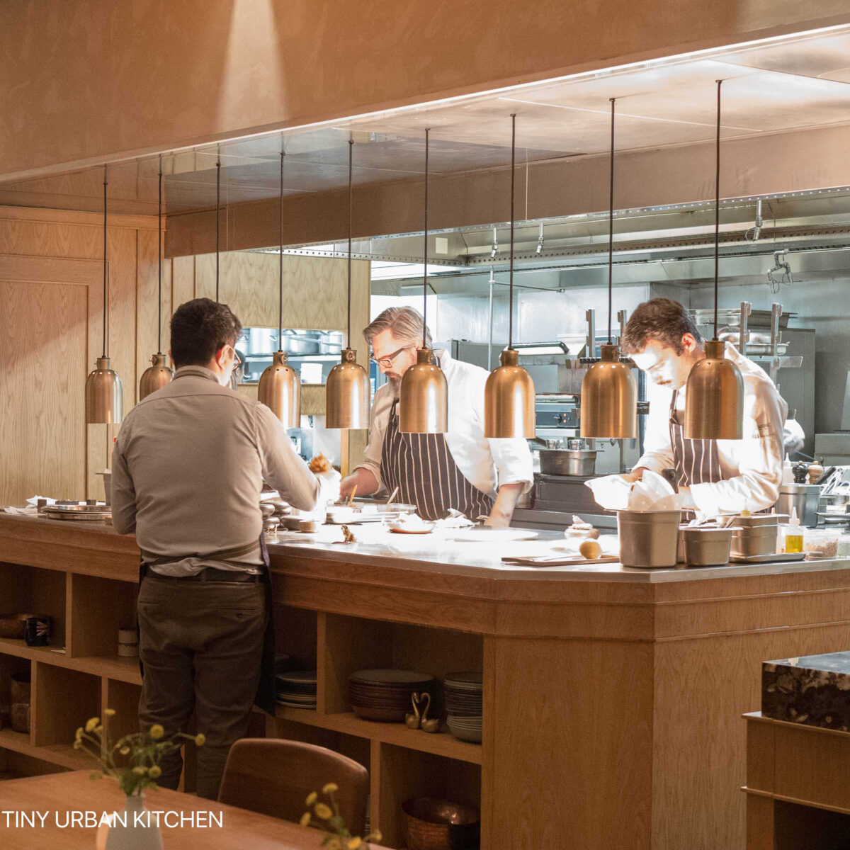 Harakuju Mame Shiba Inu Cafe Tokyo - Tiny Urban Kitchen