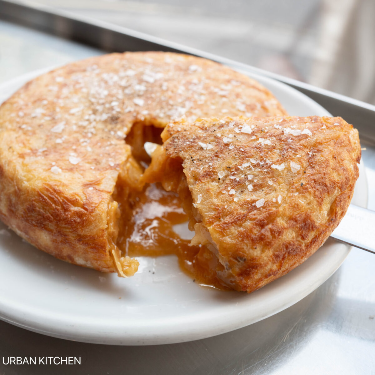 Harakuju Mame Shiba Inu Cafe Tokyo - Tiny Urban Kitchen