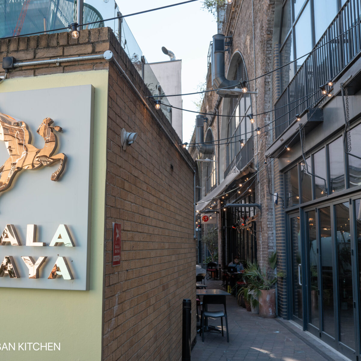 Harakuju Mame Shiba Inu Cafe Tokyo - Tiny Urban Kitchen